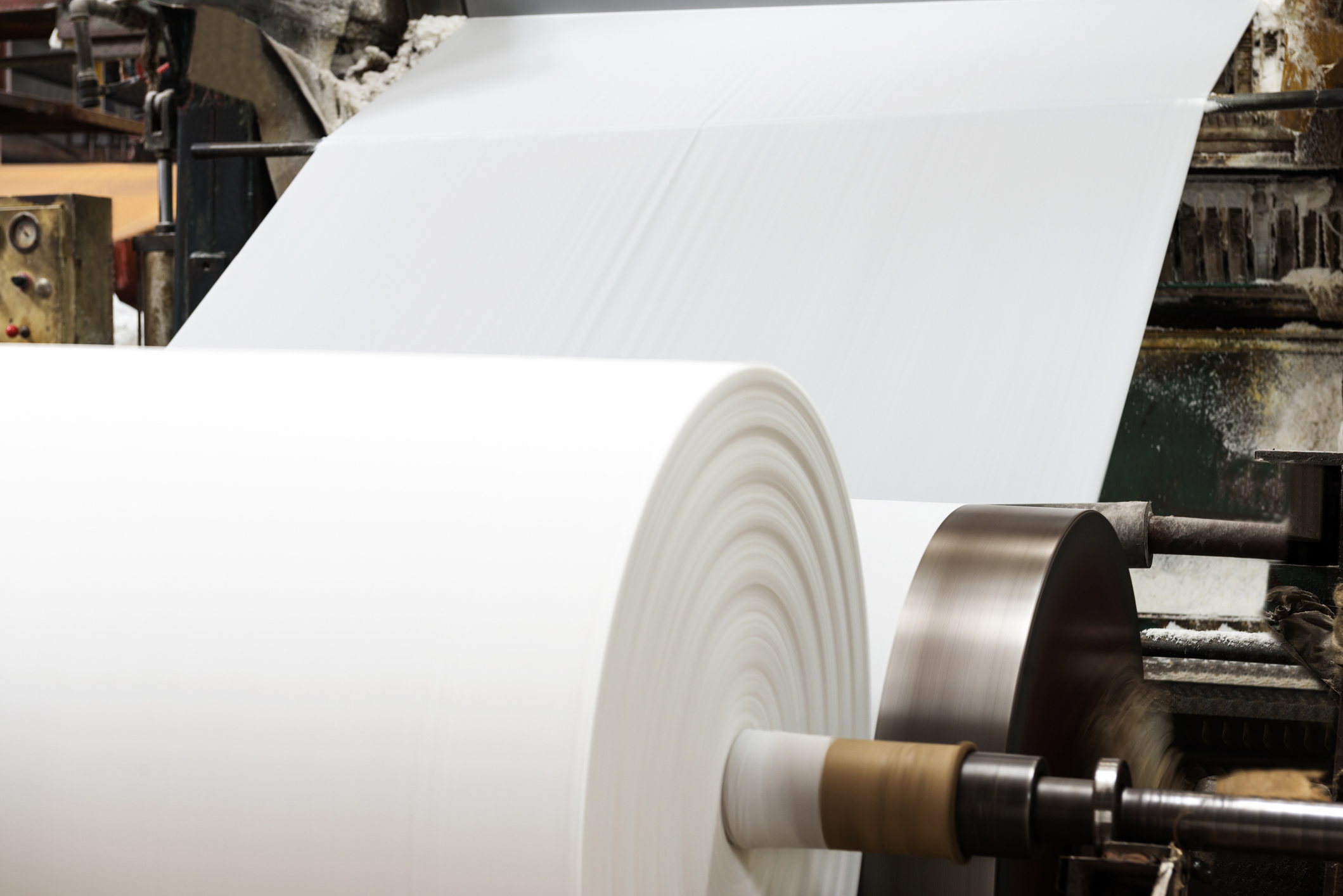 From Forest to Paper: The Journey of Sustainable Paper Production ...